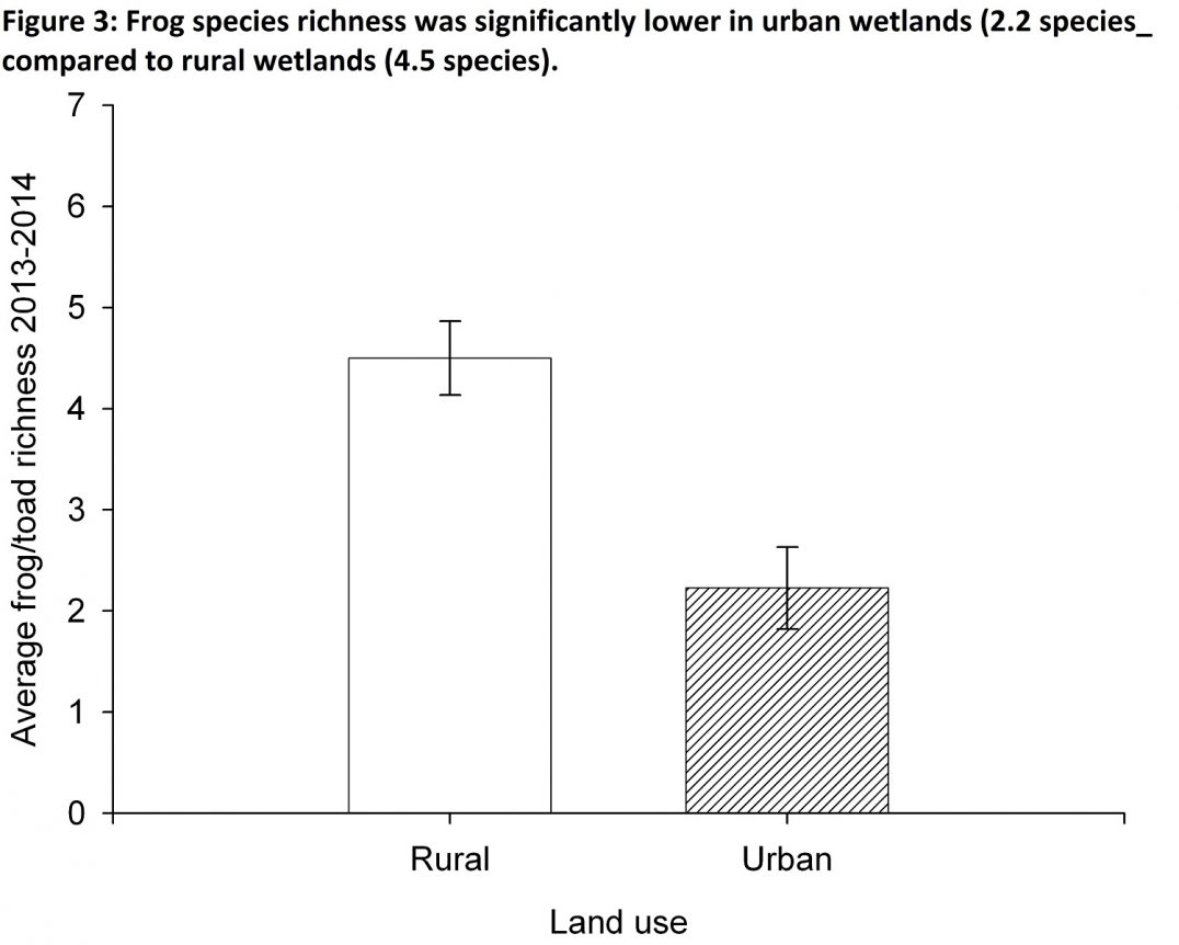 In the Face of Urbanization, the Green Frog Seems to Be the Most ...
