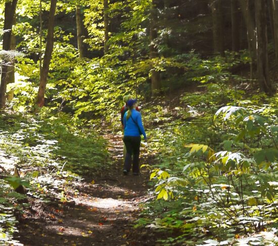 Toronto and Region Conservation Authority (TRCA)