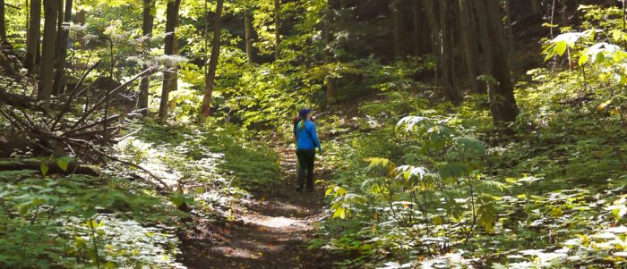 Activities - Toronto and Region Conservation Authority (TRCA)