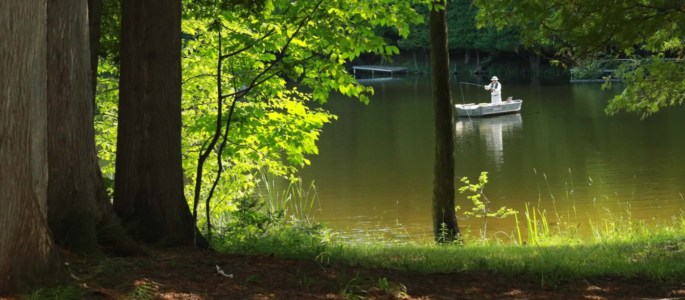 Activities - Toronto and Region Conservation Authority (TRCA)