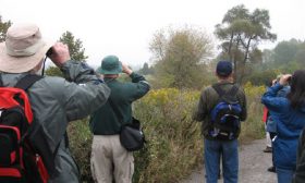Bird Watching - Toronto and Region Conservation Authority (TRCA)