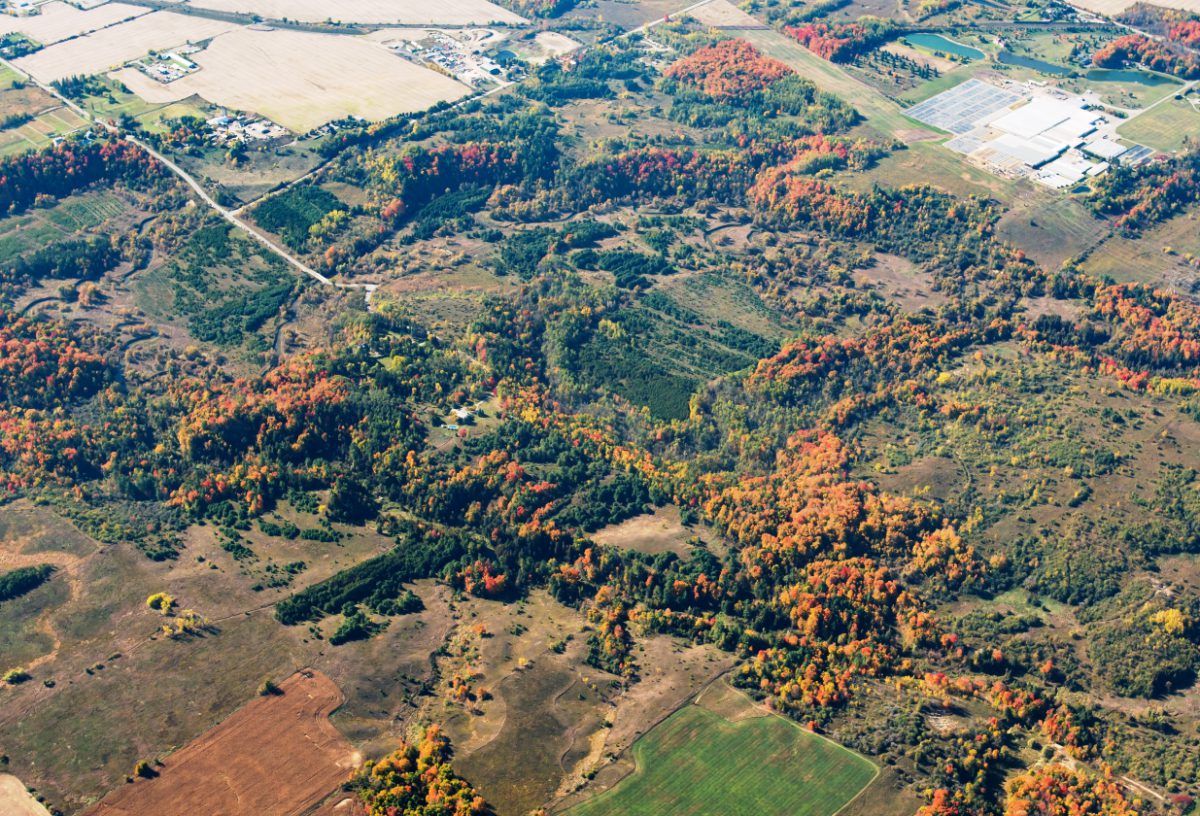 Toronto and Region Conservation Authority (TRCA)