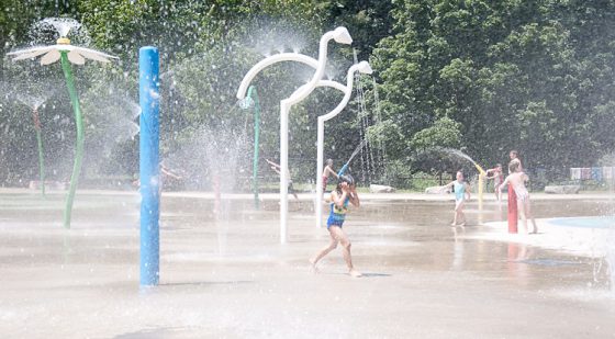 Heart Lake Conservation Park - Toronto and Region Conservation ...