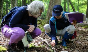 Volunteer with TRCA - Toronto and Region Conservation Authority (TRCA)