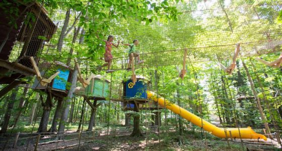 Zip Lining - Toronto and Region Conservation Authority (TRCA)