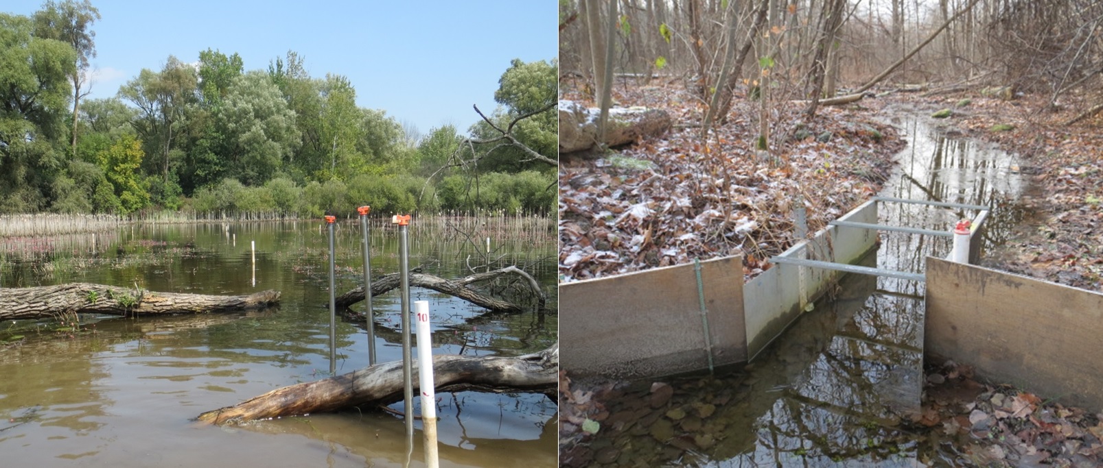 Water Balance - Toronto and Region Conservation Authority (TRCA)