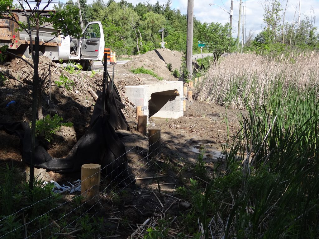 Dedicated Wildlife Culvert Installed on Heart Lake Road - Toronto and ...