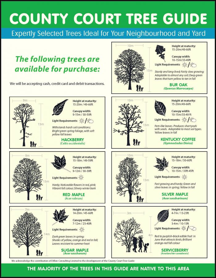 County Court SNAP - Toronto and Region Conservation Authority (TRCA)