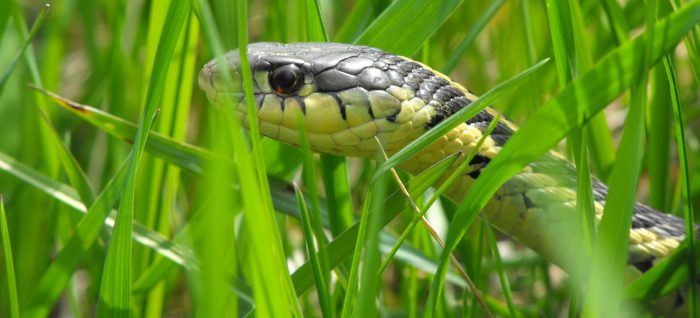 Outdoor Safety Tips - Toronto and Region Conservation Authority (TRCA)