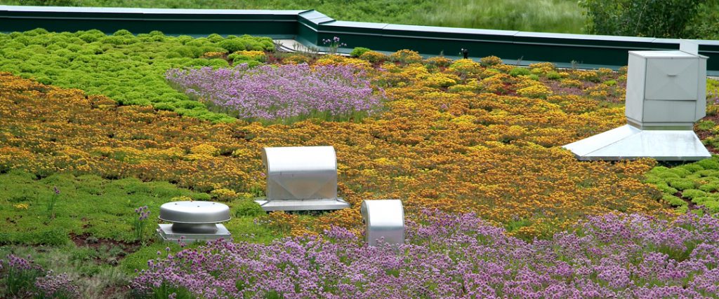 Green Infrastructure - Toronto and Region Conservation Authority (TRCA)