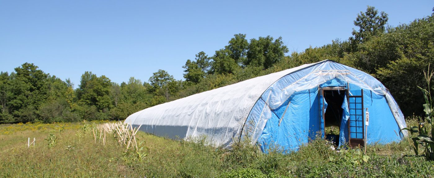 Rural Clean Water Program - Peel Region - Toronto and Region ...