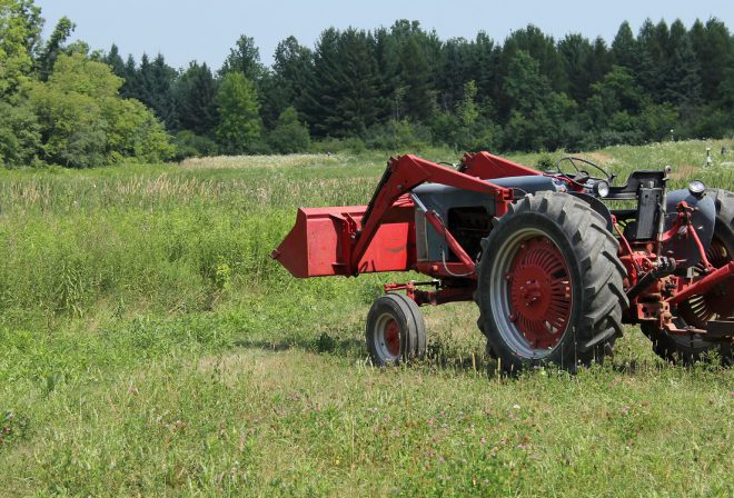 Toronto and Region Conservation Authority (TRCA)