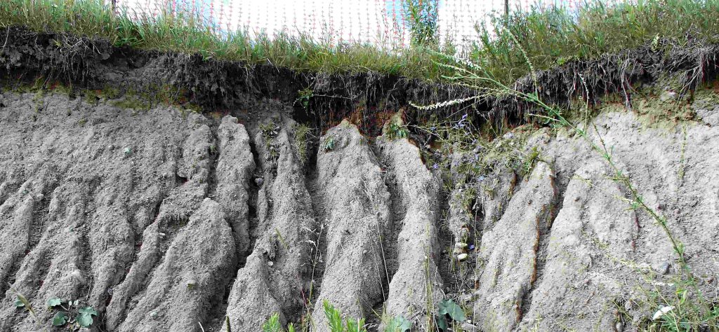 Understand - Erosion Risk Management - Toronto and Region Conservation ...