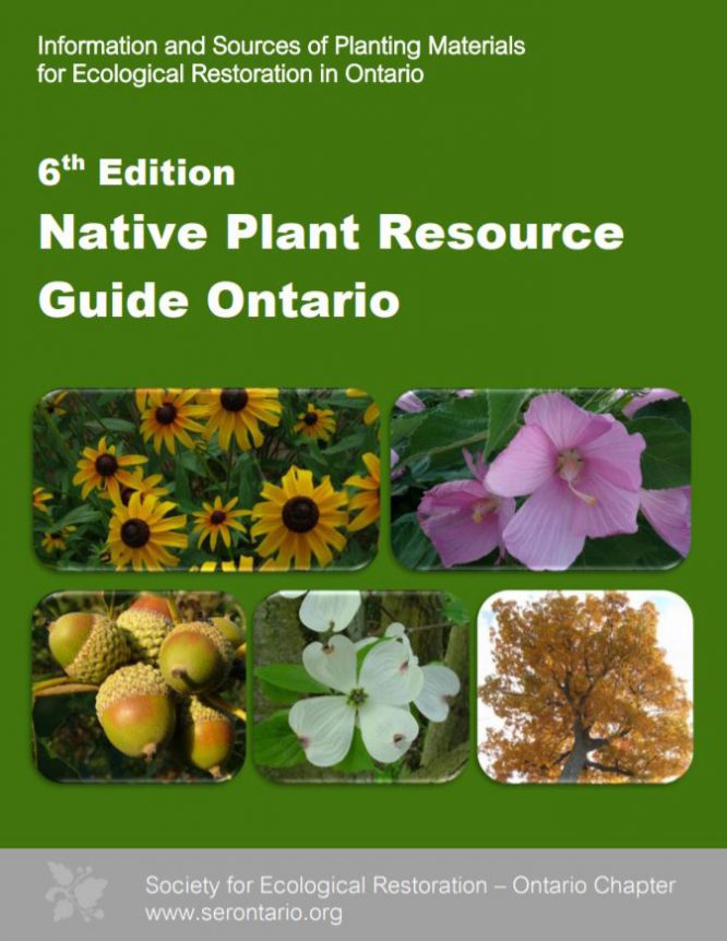 Resources - Monarch Teacher Network of Canada - Toronto and Region ...