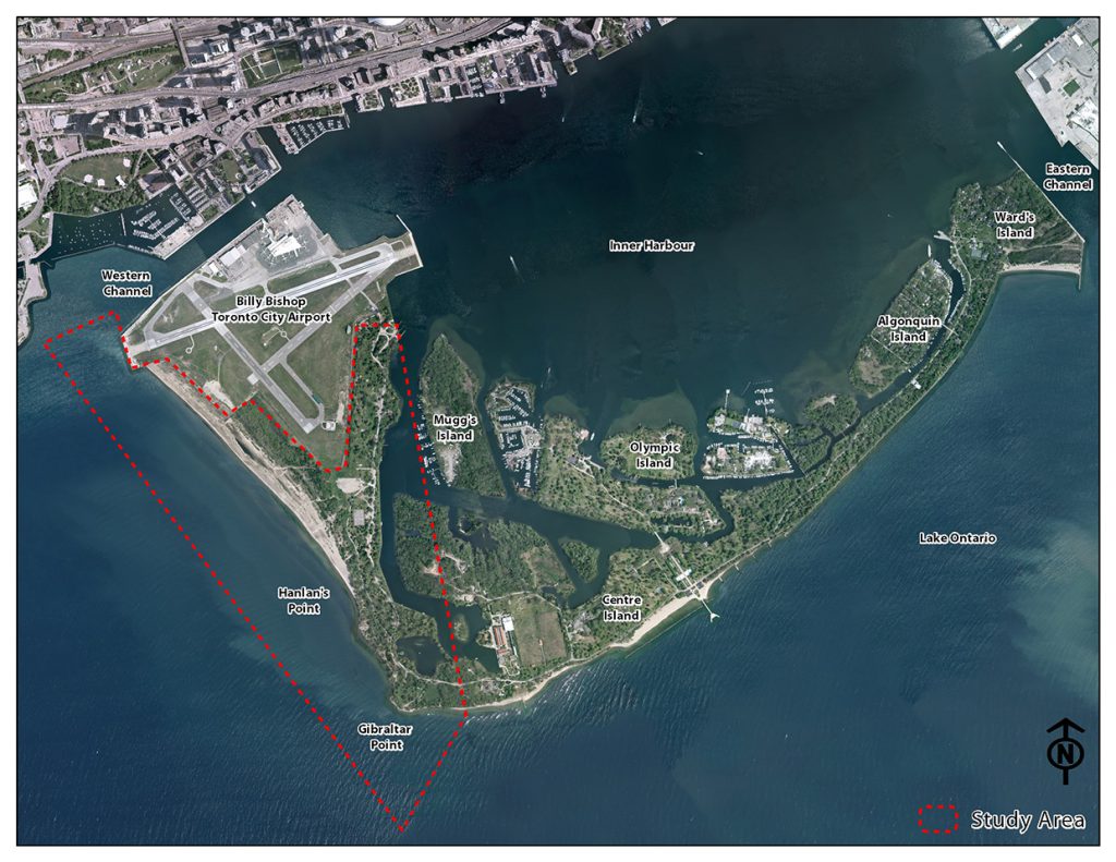 Gibraltar Point Erosion Control Project: Next Steps - Toronto and ...