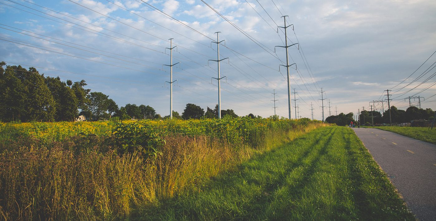 The Meadoway: Creating an Active Greenspace Connection between Downtown ...