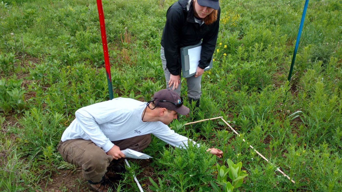 Monitoring for The Meadoway - Toronto and Region Conservation Authority ...