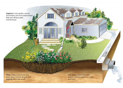 A complete guide to building and maintaining a rain garden | TRCA