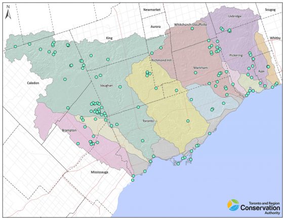Restoration Projects - Toronto and Region Conservation Authority (TRCA)