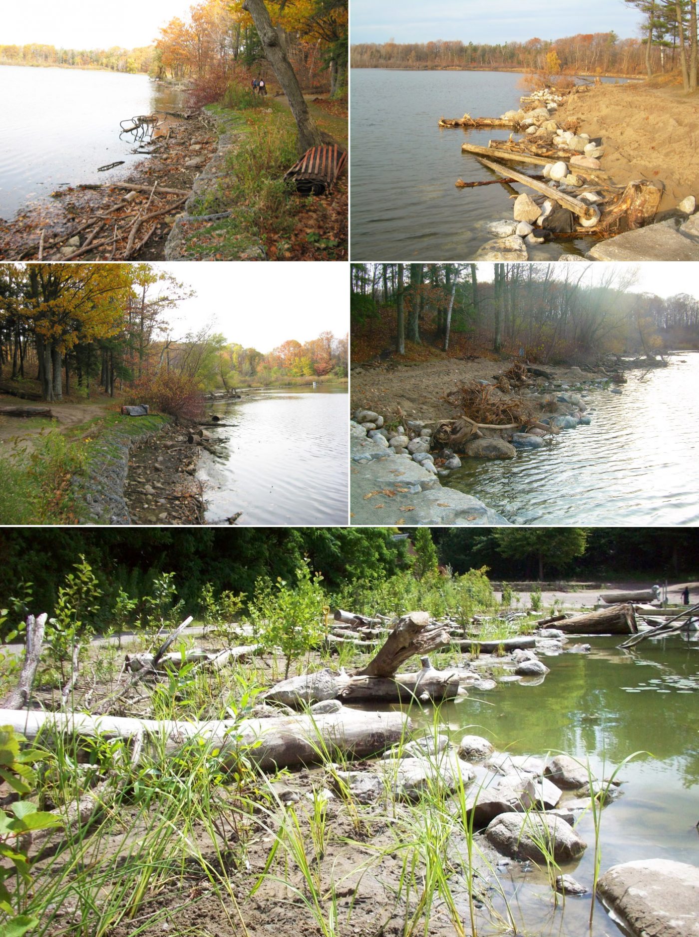 Shorelines - Toronto and Region Conservation Authority (TRCA)
