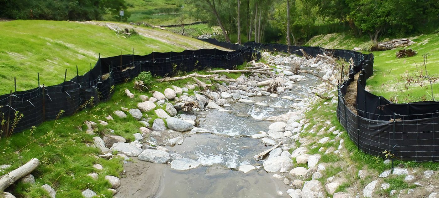 Streams and Valley Lands - Toronto and Region Conservation Authority (TRCA)