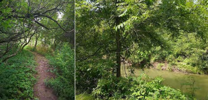Rehabilitation of the Pickering and Ajax Flood Control Dikes Class ...