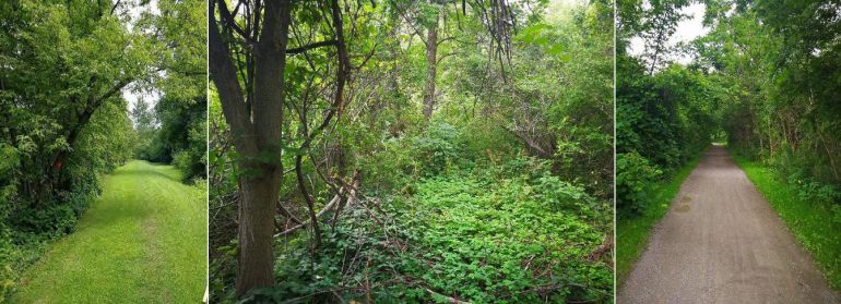 Rehabilitation of the Pickering and Ajax Flood Control Dikes Class ...