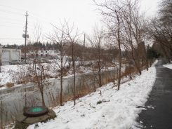 Living in a Flood Vulnerable Area: Downtown Bolton - Toronto and Region ...