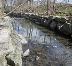 Living in a Flood Vulnerable Area: Dixie-Dundas - Toronto and Region ...