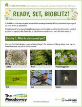 At Home With Nature - Homeschool Resources | TRCA