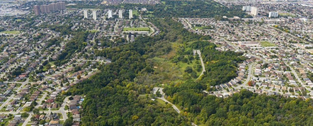 Living in a Flood Vulnerable Area: Rockcliffe-Smythe - Toronto and ...