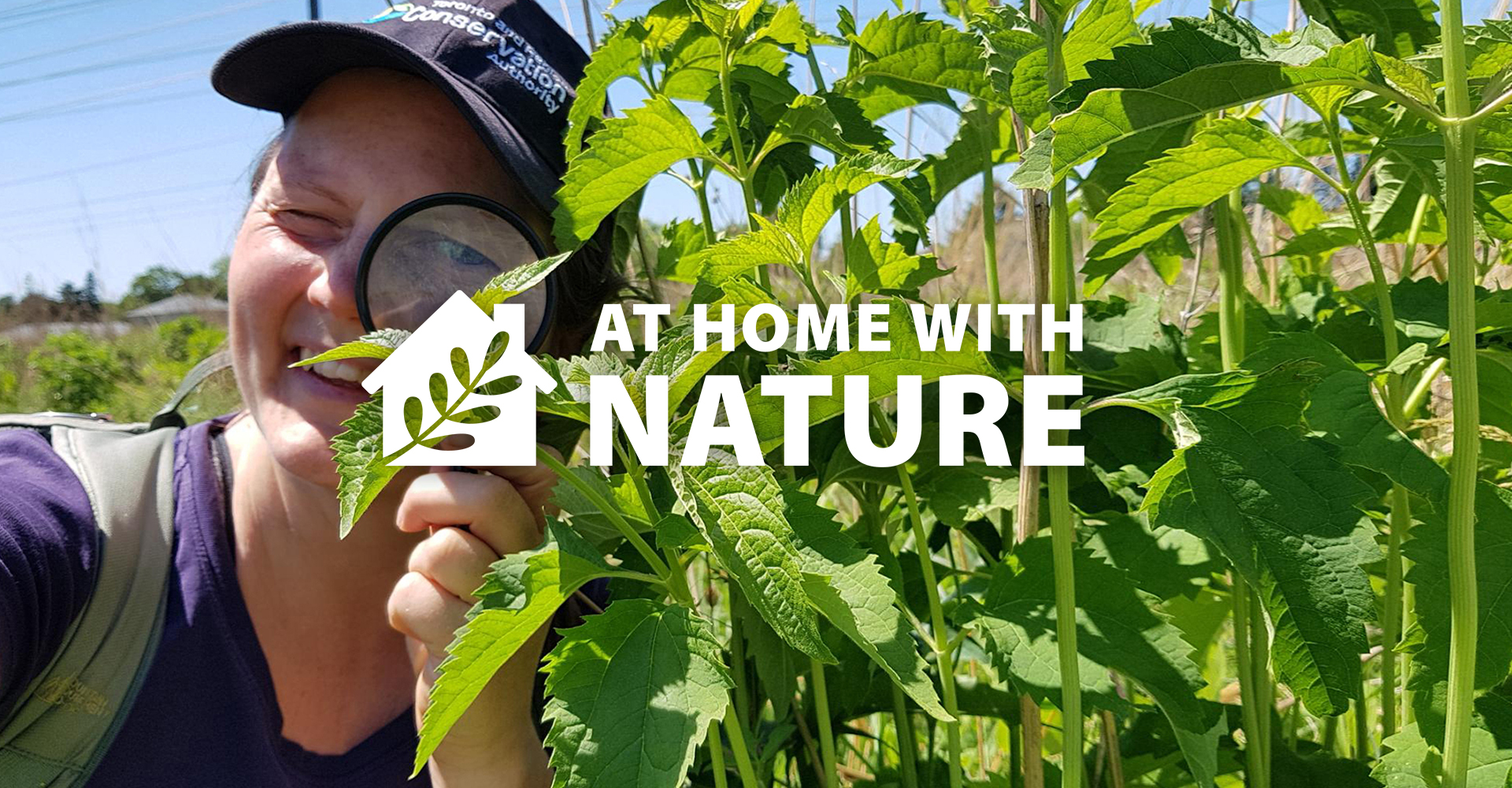 At Home With Nature - Homeschool Resources | TRCA