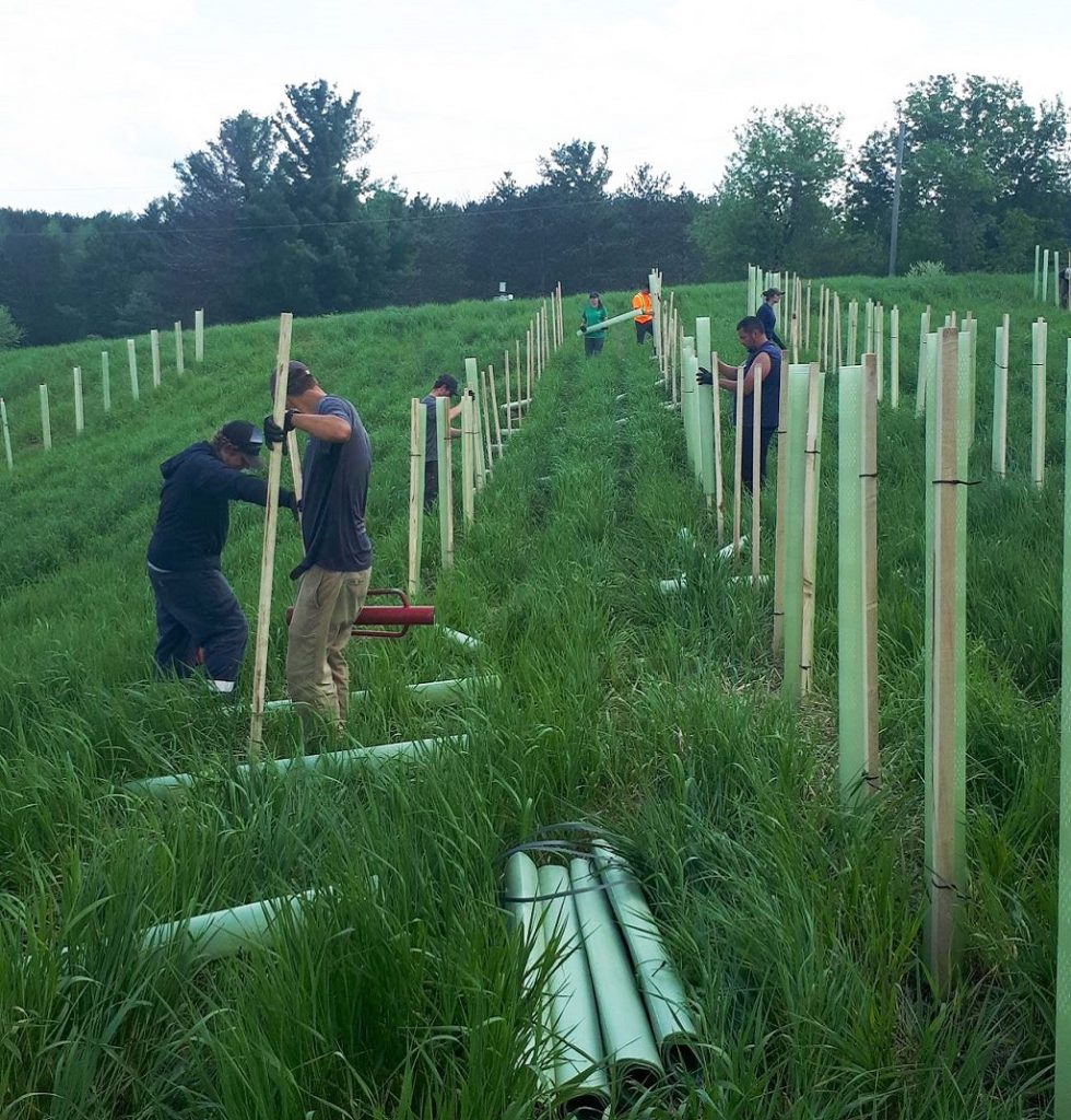 Private Land Planting Program - Toronto and Region Conservation ...