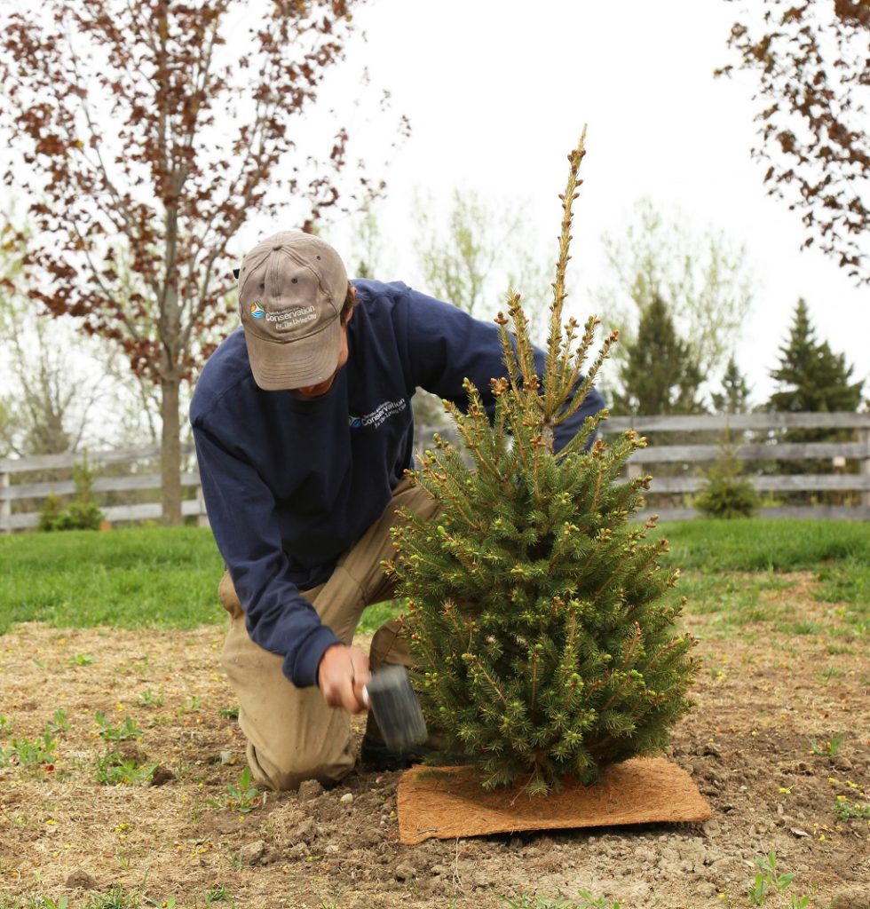 Private Land Planting Program - Toronto and Region Conservation ...