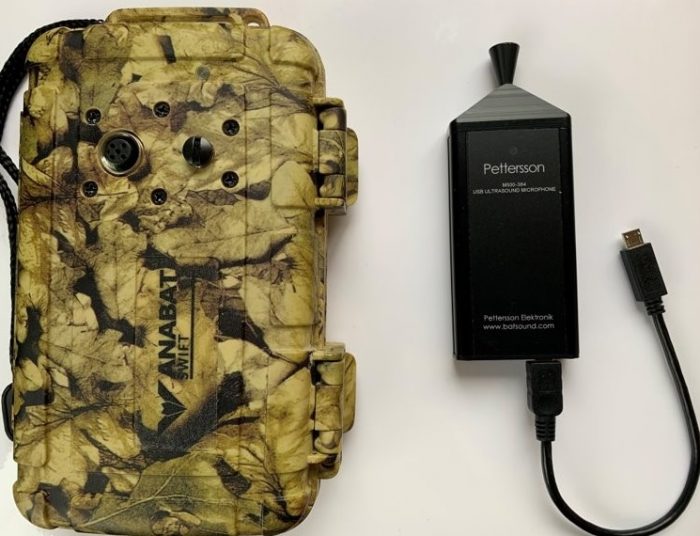 Introducing TRCA's "Bat Detectives"! - Toronto and Region Conservation ...