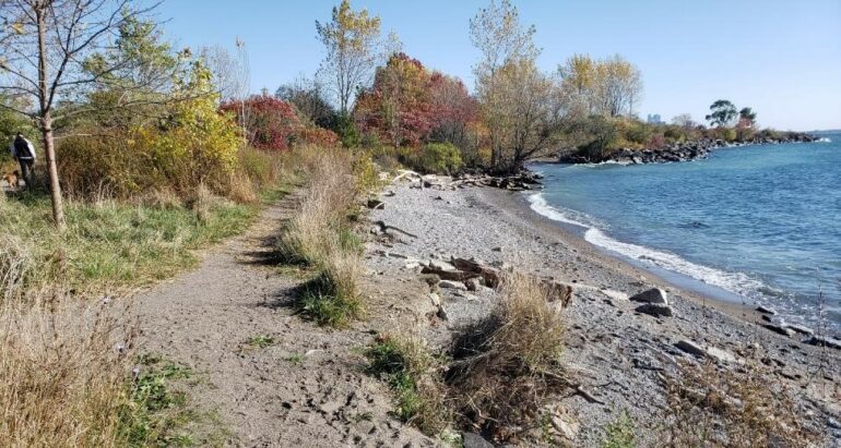 Humber Bay Park East Shoreline Maintenance Project - Toronto and Region ...