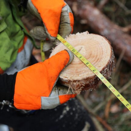 Private Land Planting Program - Toronto and Region Conservation ...