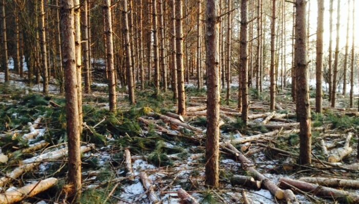 Private Land Planting Program - Toronto and Region Conservation ...