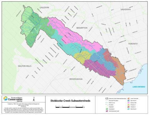 Etobicoke Creek Watershed Plan - Toronto and Region Conservation ...