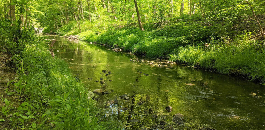 Ontario Low Water Program - Toronto and Region Conservation Authority ...