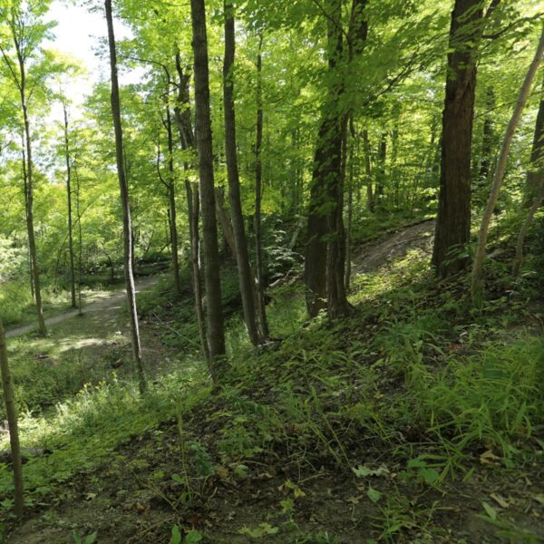 Terrestrial Ecosystems - Toronto and Region Conservation Authority (TRCA)