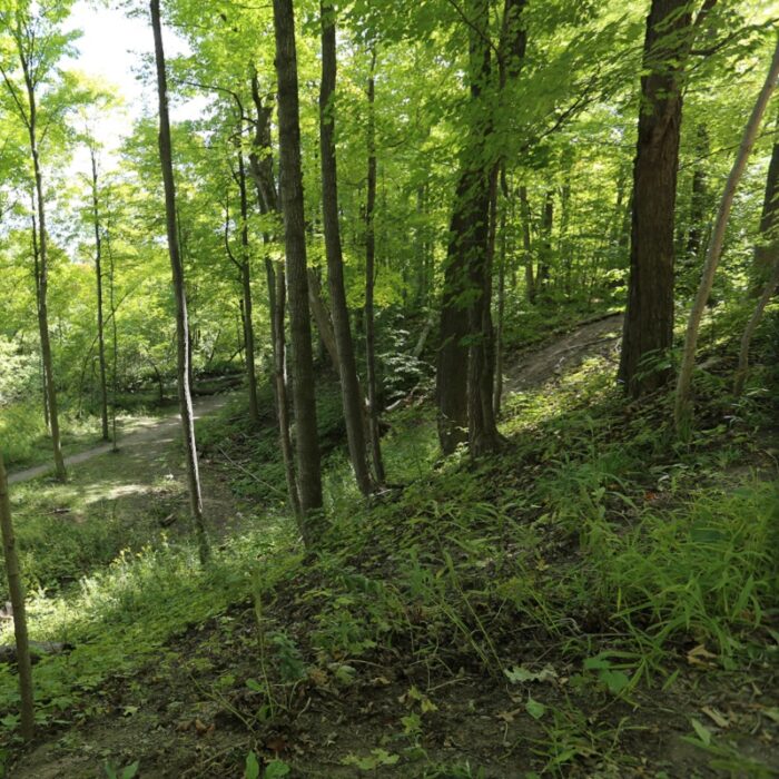 Terrestrial Ecosystems - Toronto and Region Conservation Authority (TRCA)