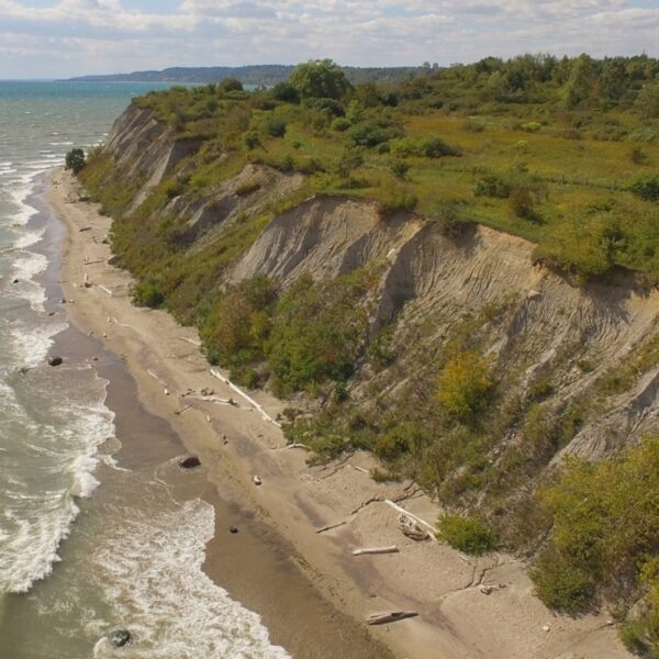 Terrestrial Ecosystems - Toronto and Region Conservation Authority (TRCA)