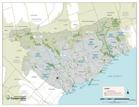 About TRCA - Toronto and Region Conservation Authority (TRCA)