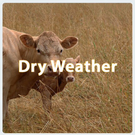 Taking Action on Climate Change in Toronto Region - Toronto and Region ...