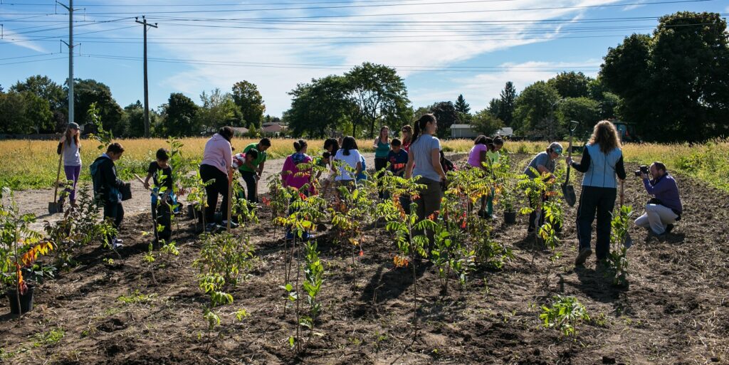 Monitoring for The Meadoway - Toronto and Region Conservation Authority ...