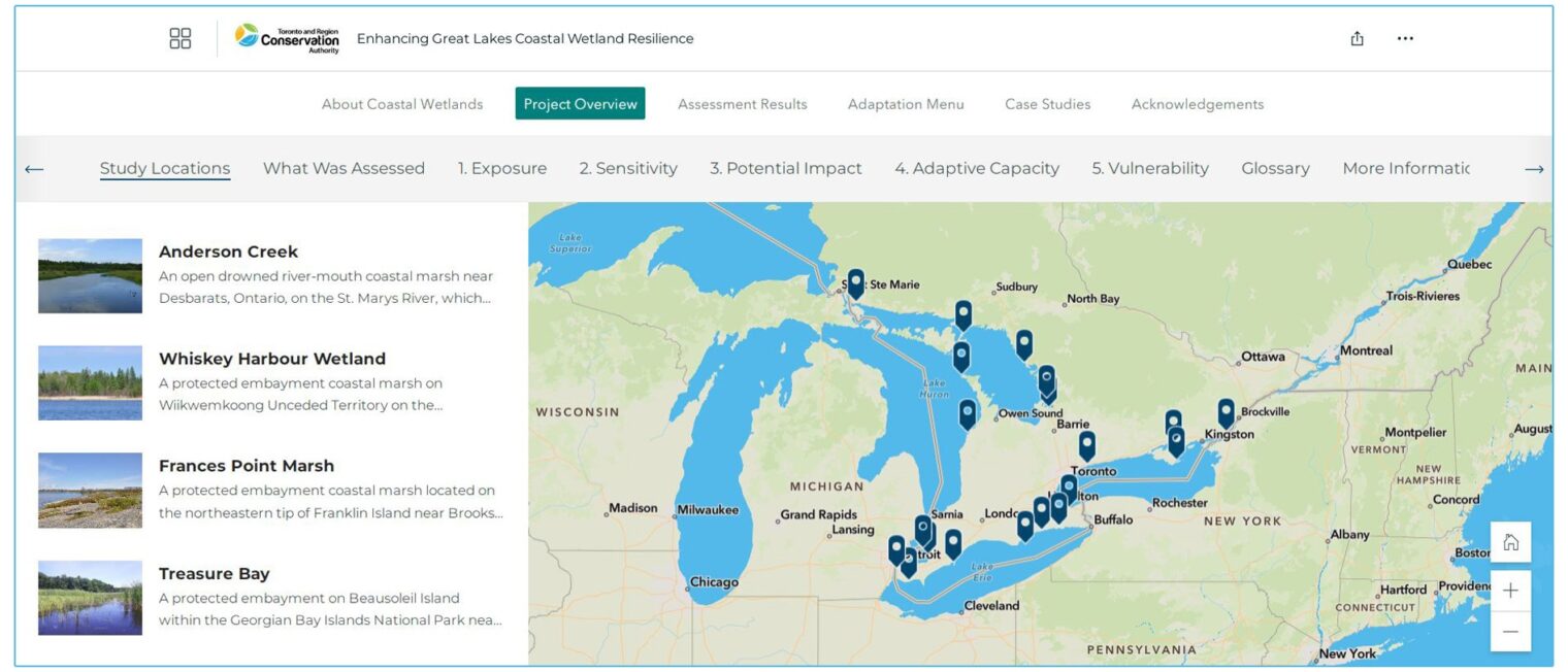 Great Lakes Coastal Wetlands - Toronto and Region Conservation ...