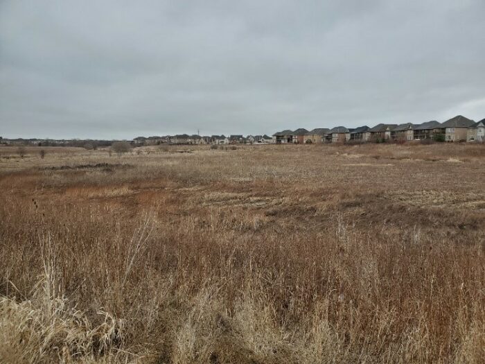 Ecosystem Compensation - Toronto and Region Conservation Authority (TRCA)