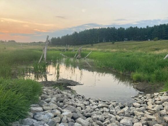 Ecosystem Compensation - Toronto and Region Conservation Authority (TRCA)