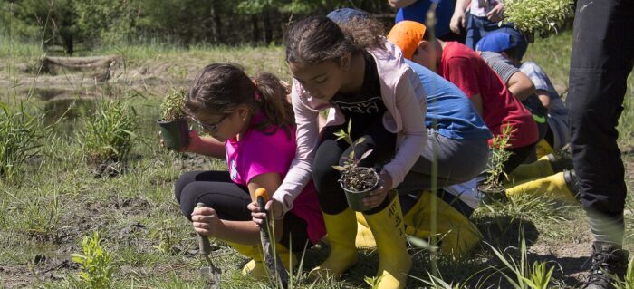 Programs for Teachers and Schools - Toronto and Region Conservation ...